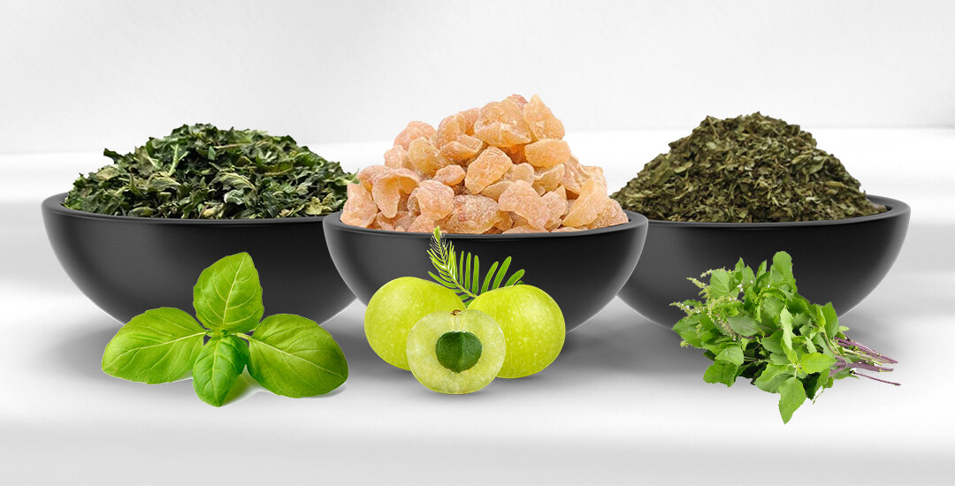 Freeze Dried Herbs Products - Nutrivive: Wholesale Supplier of Freeze ...